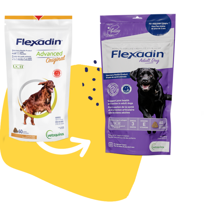 Flexadin Essential · Flexadin®