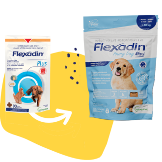 Flexadin Essential · Flexadin®