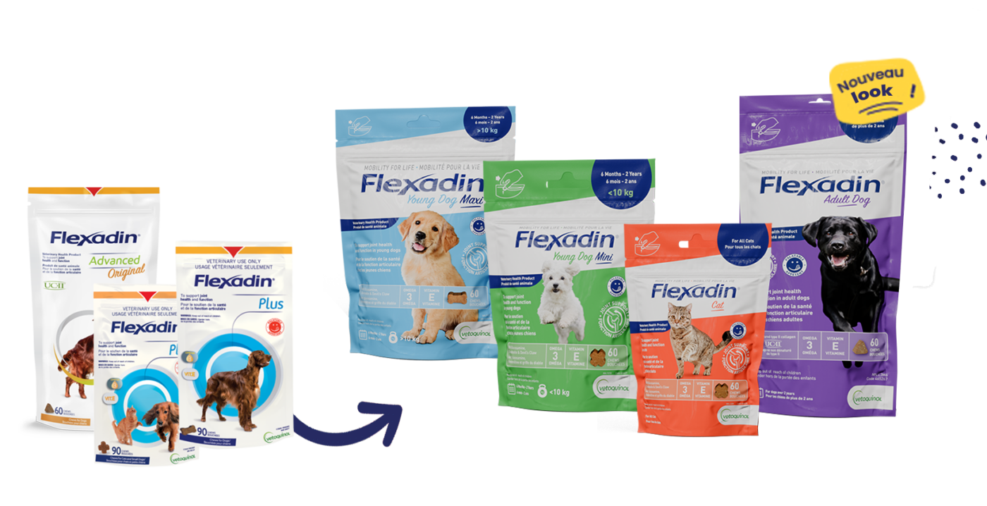 Flexadin® supports joint health & function for dogs · Flexadin®